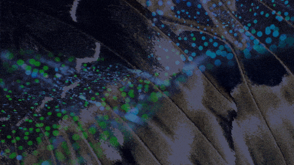 Final - 2023 Moonlight Ball Digital Invite (1) - SD Regional Chamber